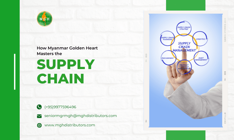 Supply Chain: How Myanmar Golden Heart Masters in this.